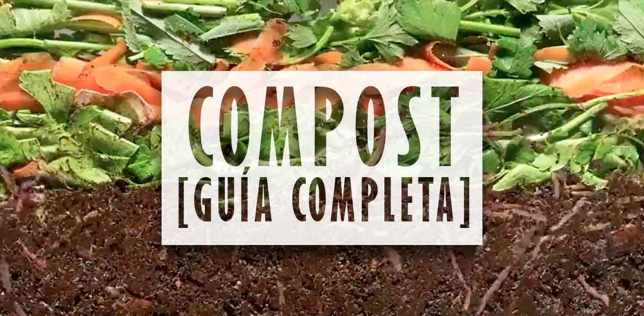 Compost: ¿Qué es y Cómo hacerlo? [Guía Completa 2025]